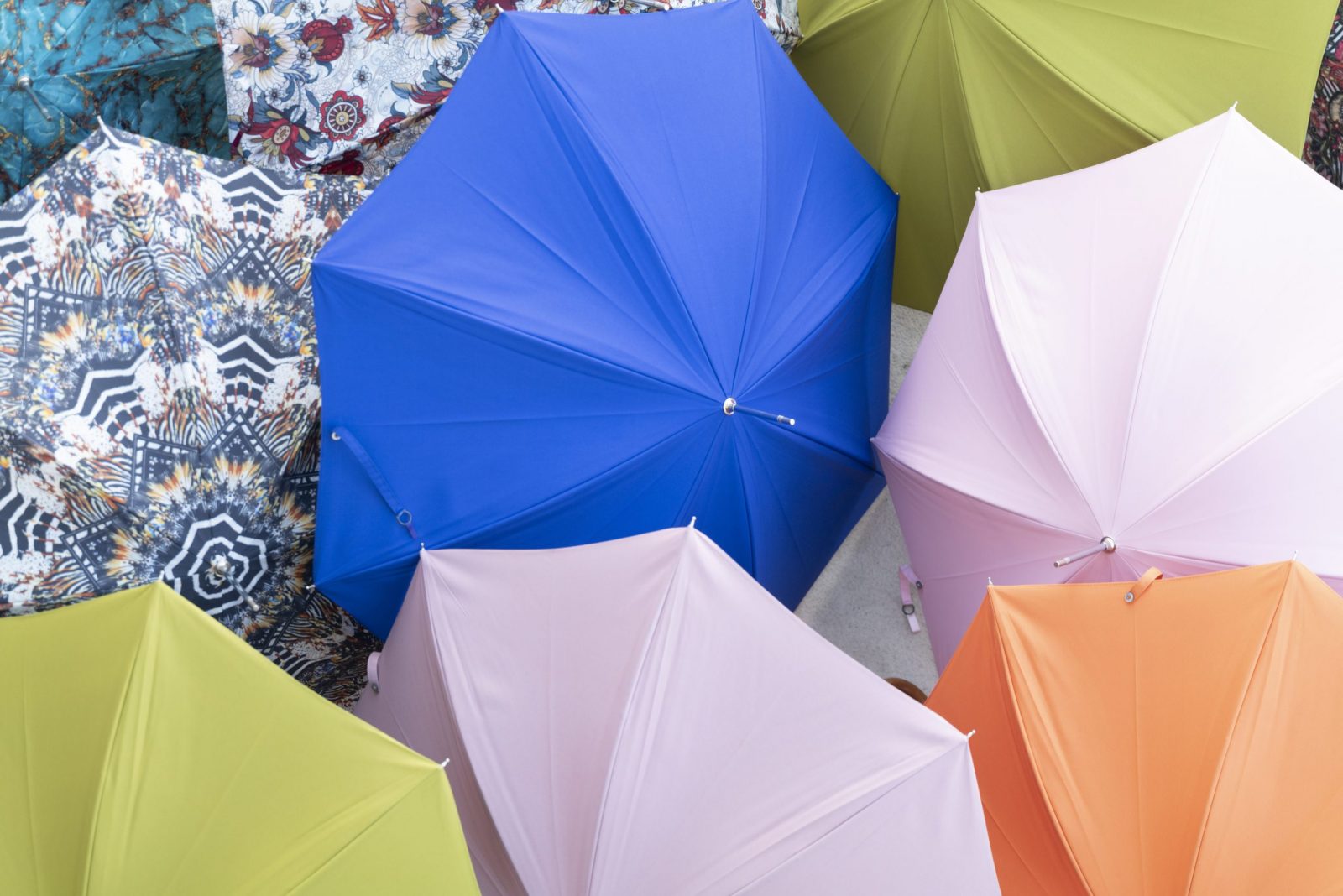 Adults Umbrella | A Different Ball Game